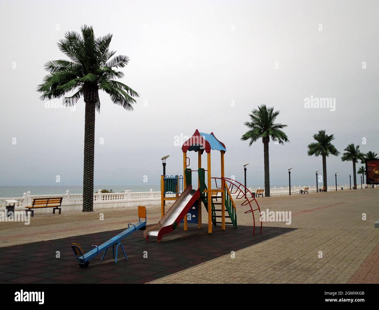 Caspian sea palm tree hi-res stock photography and images - Alamy