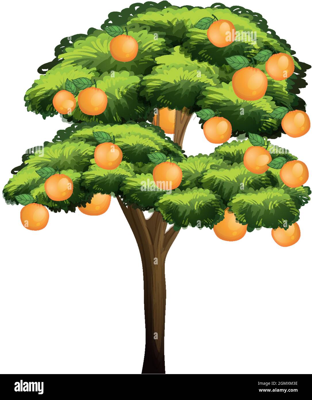 Orange tree isolated on white background illustration Stock Vector ...