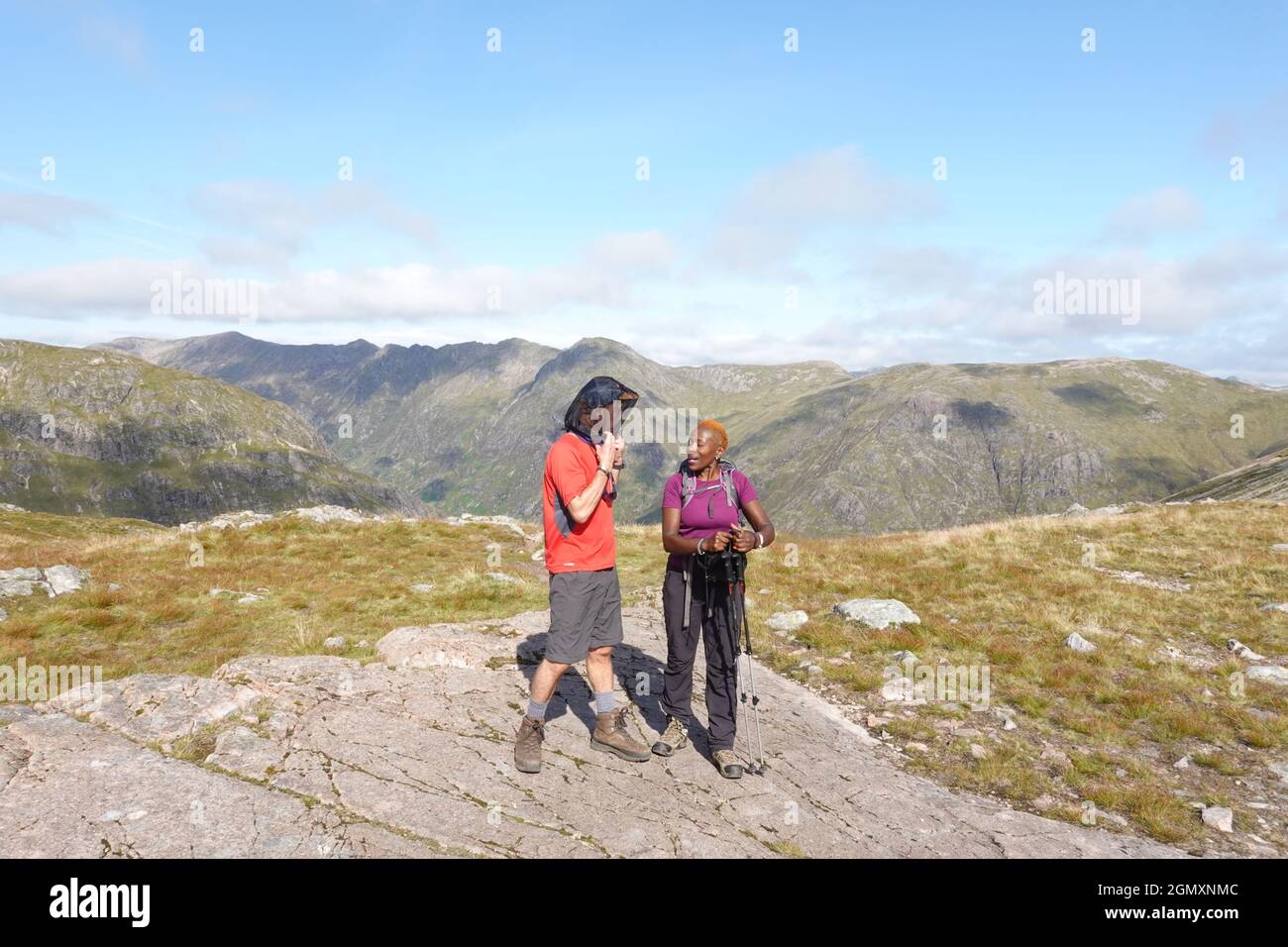 Midge nets hi-res stock photography and images - Alamy