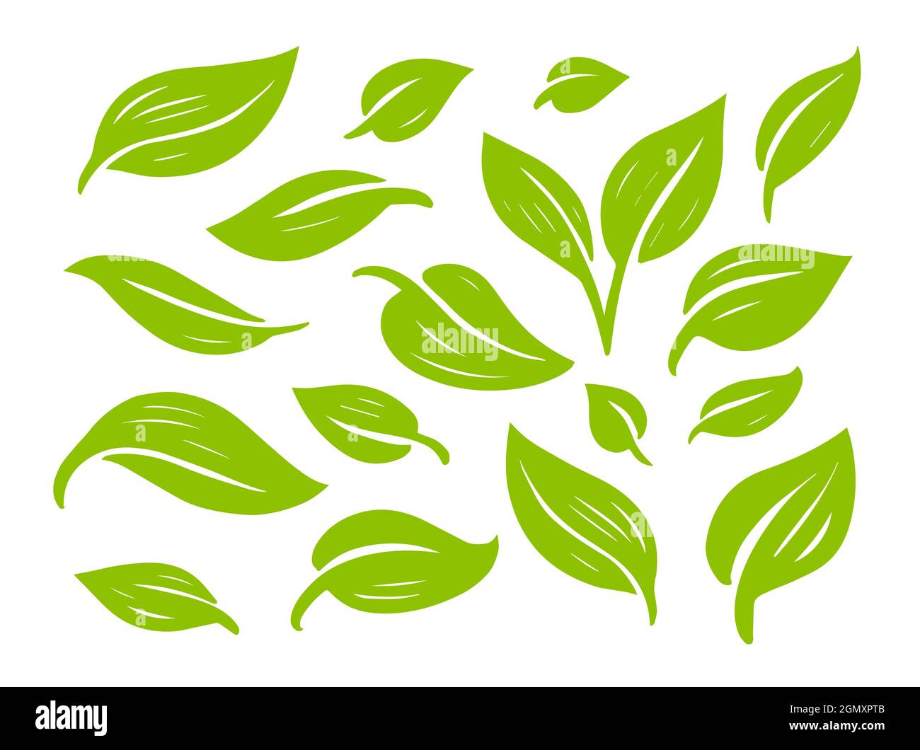 Leaves icon vector set isolated on white background. Leaf logo design ...