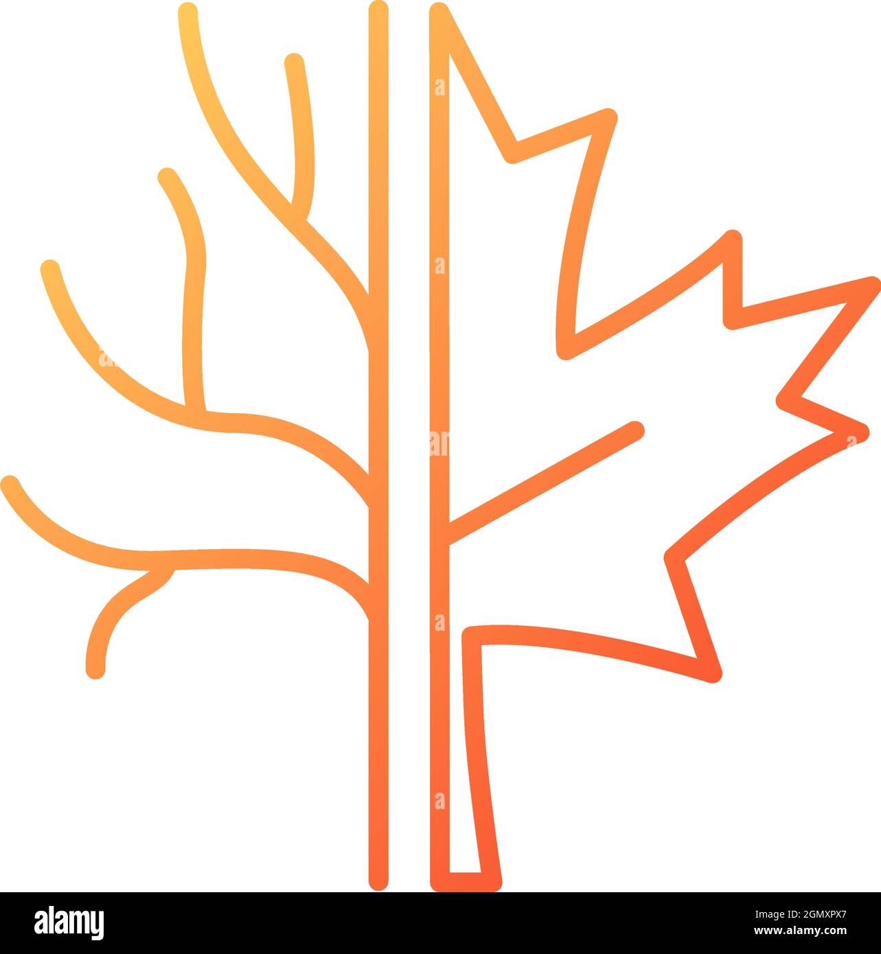 Maple tree gradient linear vector icon Stock Vector Image & Art - Alamy