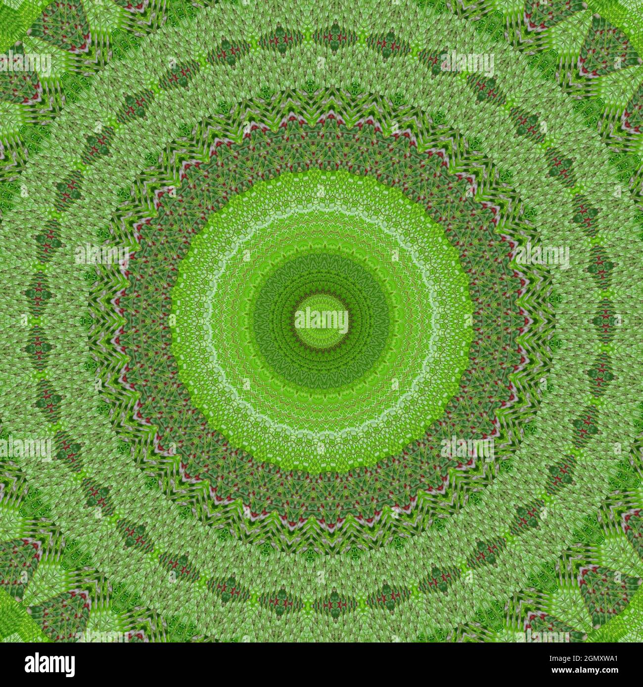 Abstract green mandala pattern background - perfect for wallpaper Stock ...