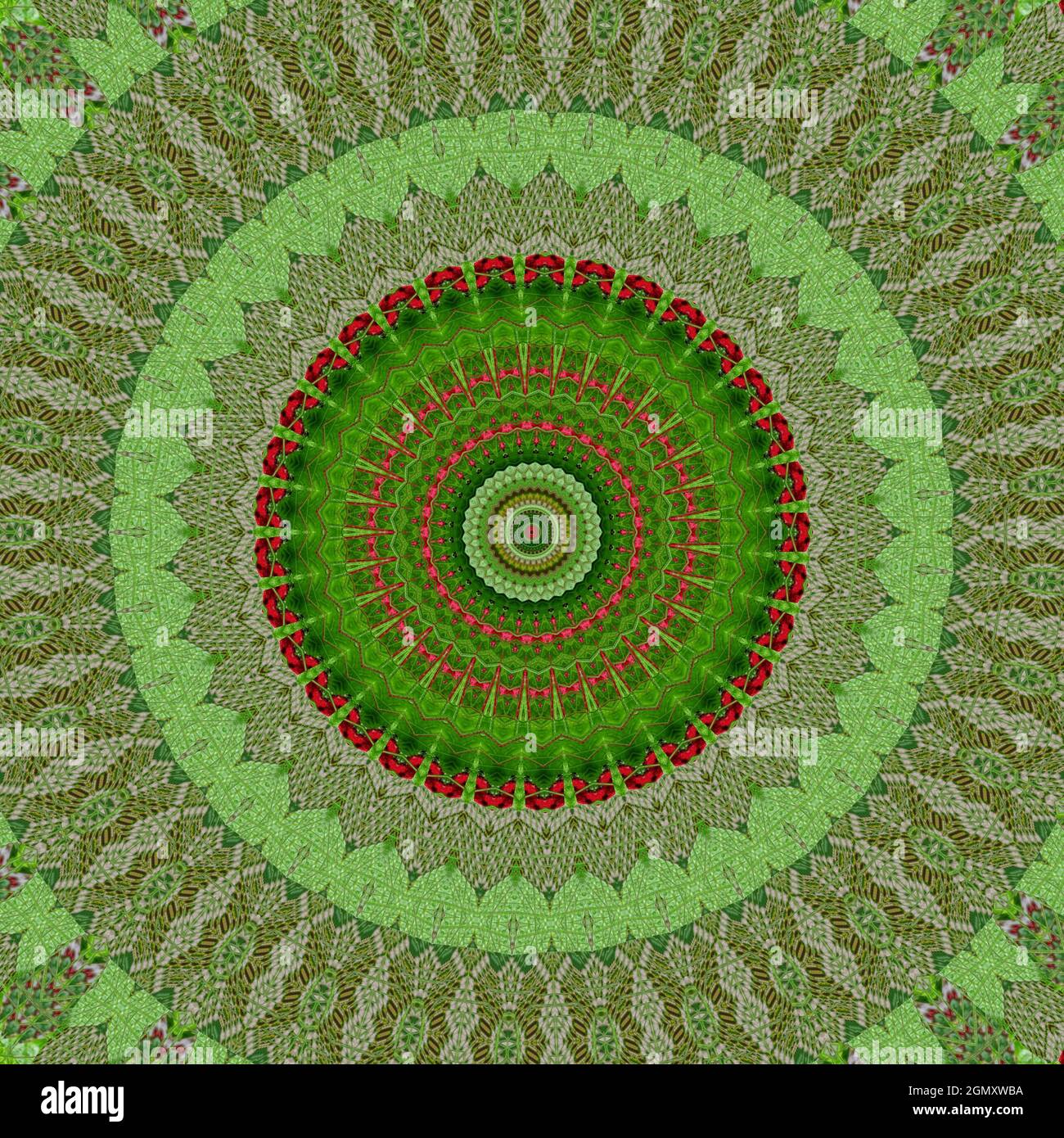 Abstract green mandala pattern background - perfect for wallpaper Stock ...