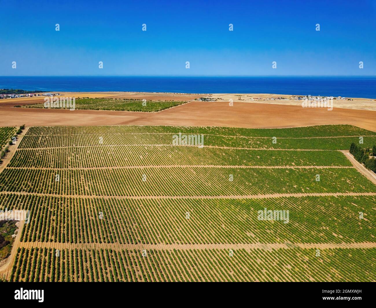 View crop fields vineyard hi-res stock photography and images - Alamy