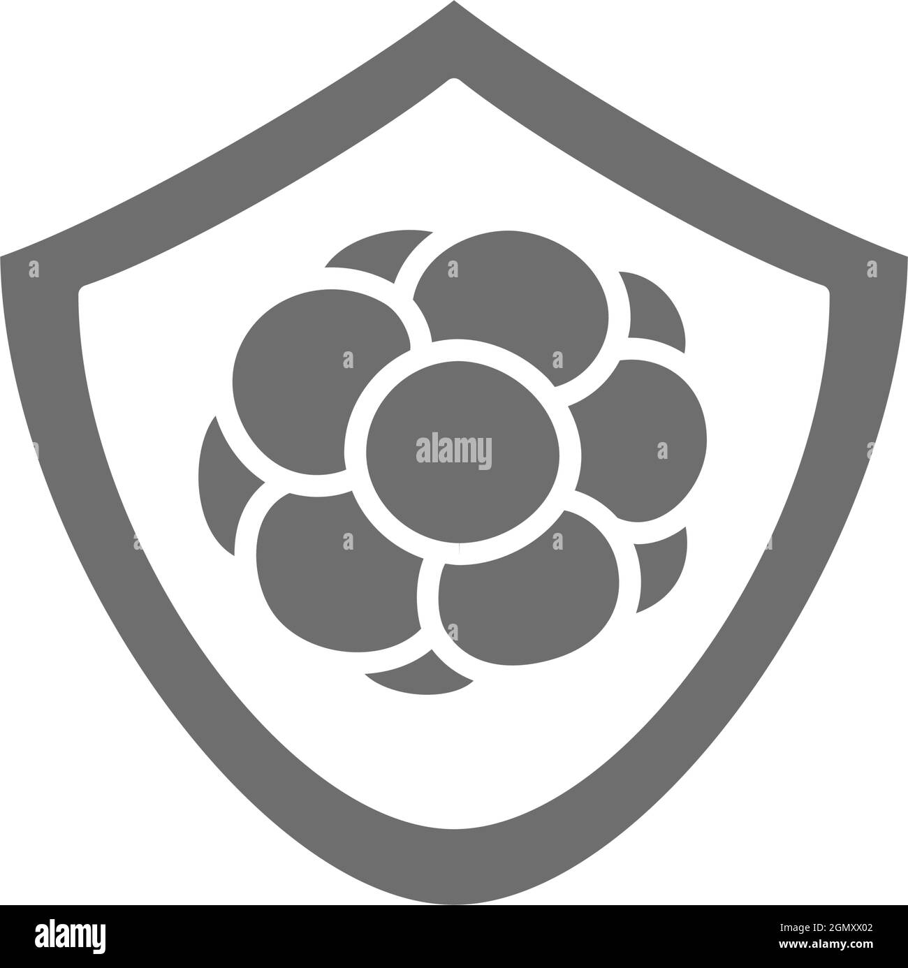 Bacteria in shield, immune system, protection on viruses grey icon ...