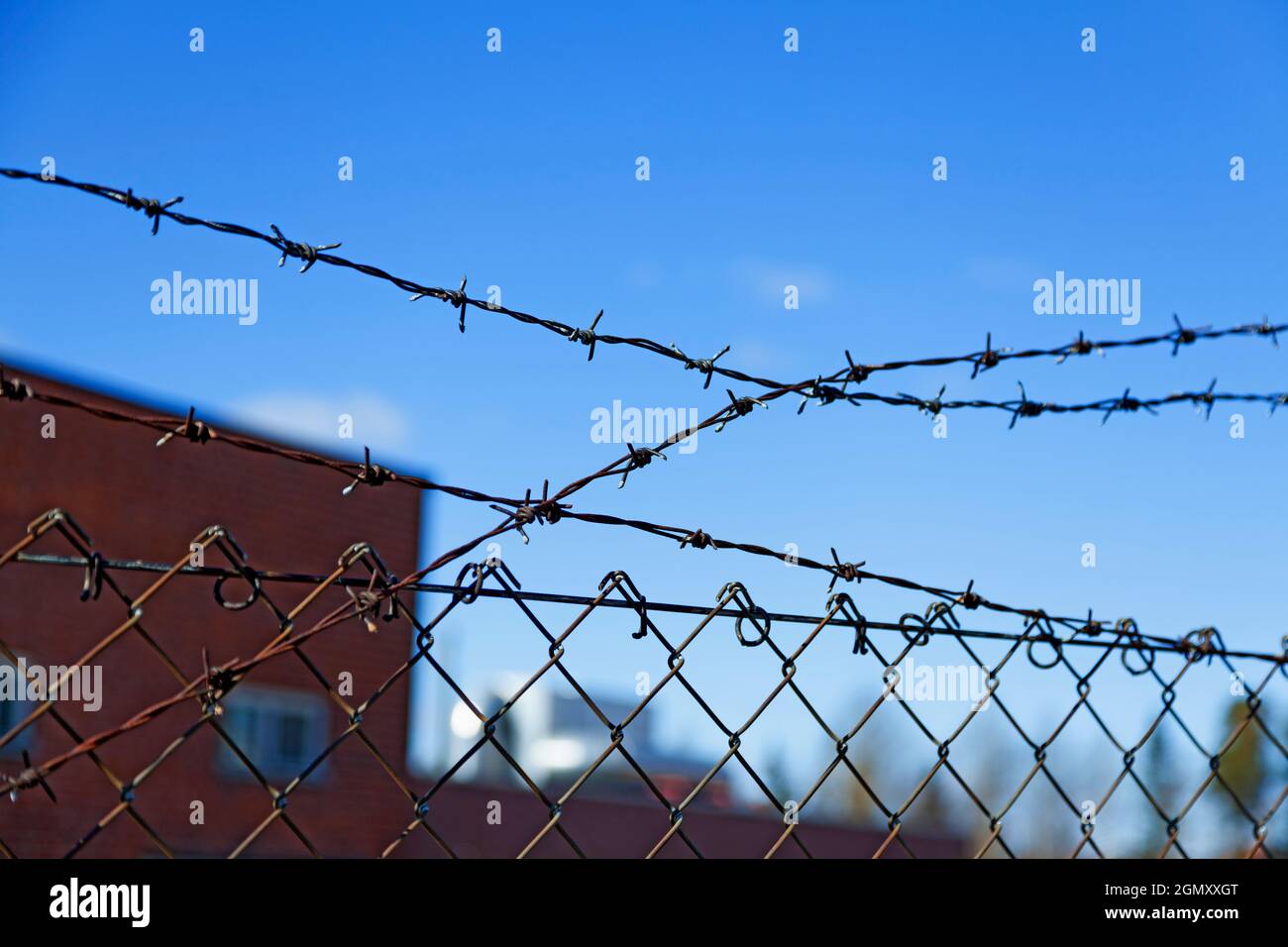 fence of chicken net in metal with barbed wire Stock Photo - Alamy