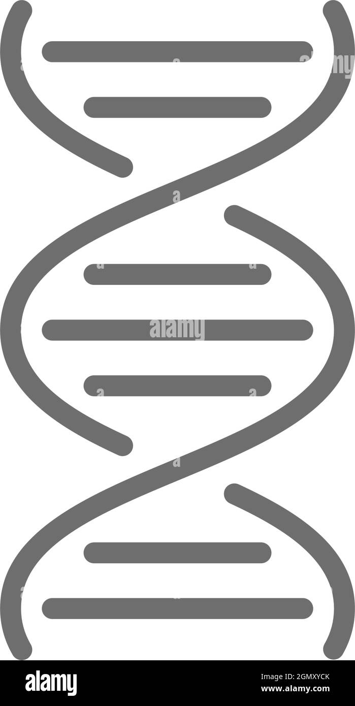 DNA molecule grey icon. Isolated on white background Stock Vector Image ...