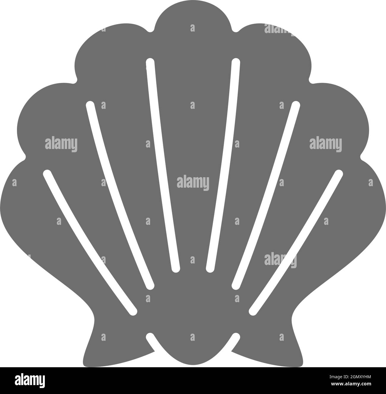 Grey and white shell Stock Vector Images - Alamy
