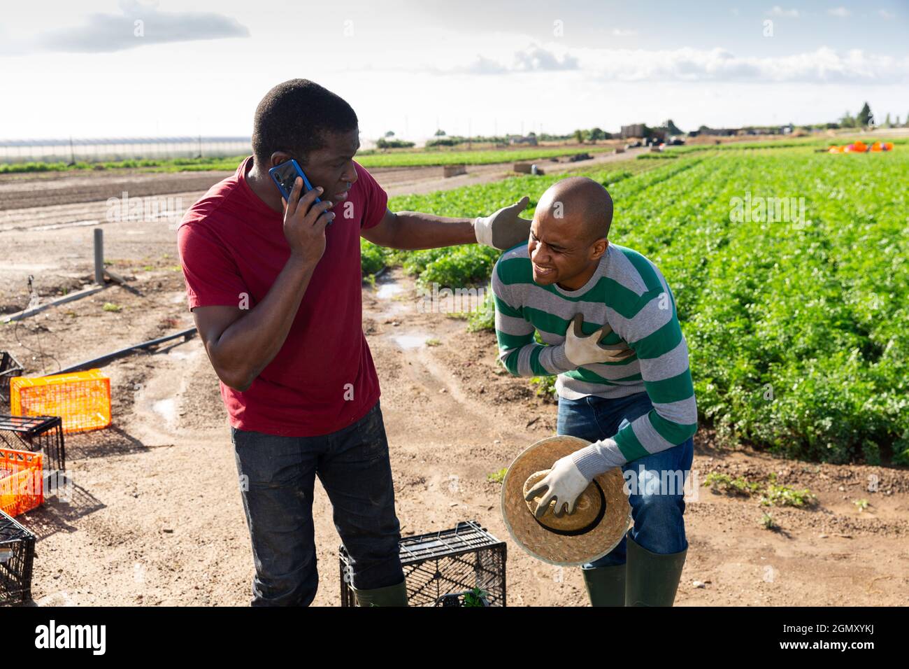 Farm worker feeling pain at work, anxious man talking on phone with ...