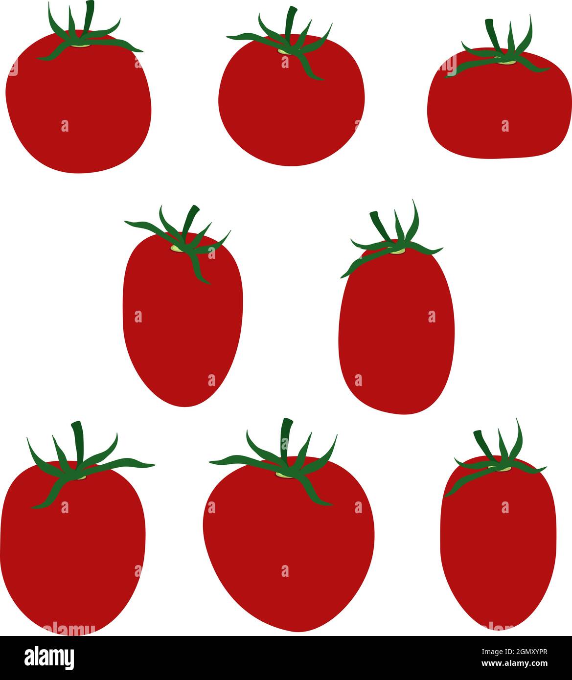 Set of various tomatoes - vector illustration Stock Vector Image & Art ...