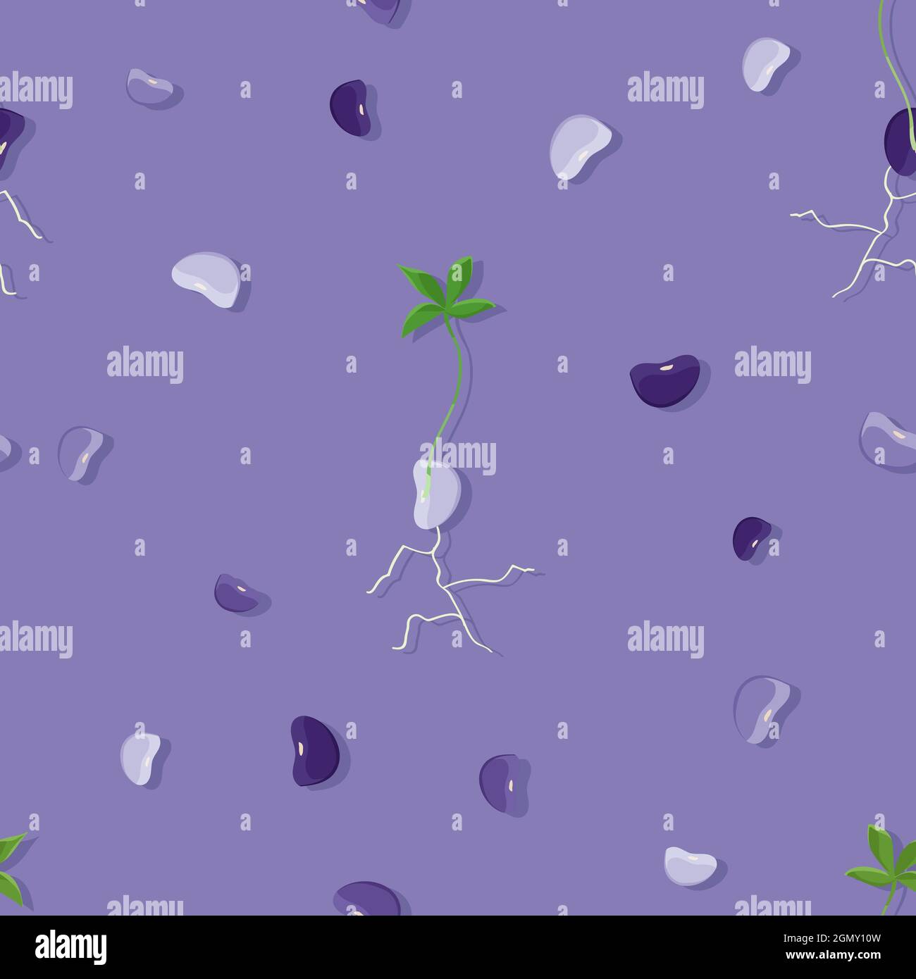 Purple beans - vector background Stock Vector Image & Art - Alamy