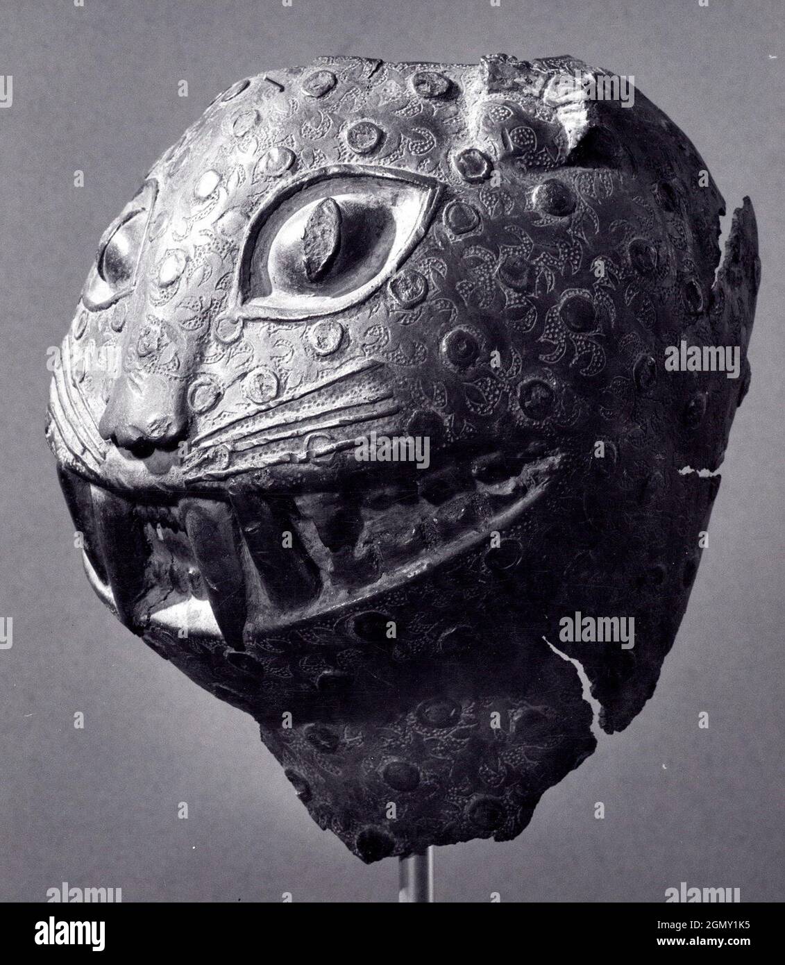 Human leopard hi-res stock photography and images - Alamy