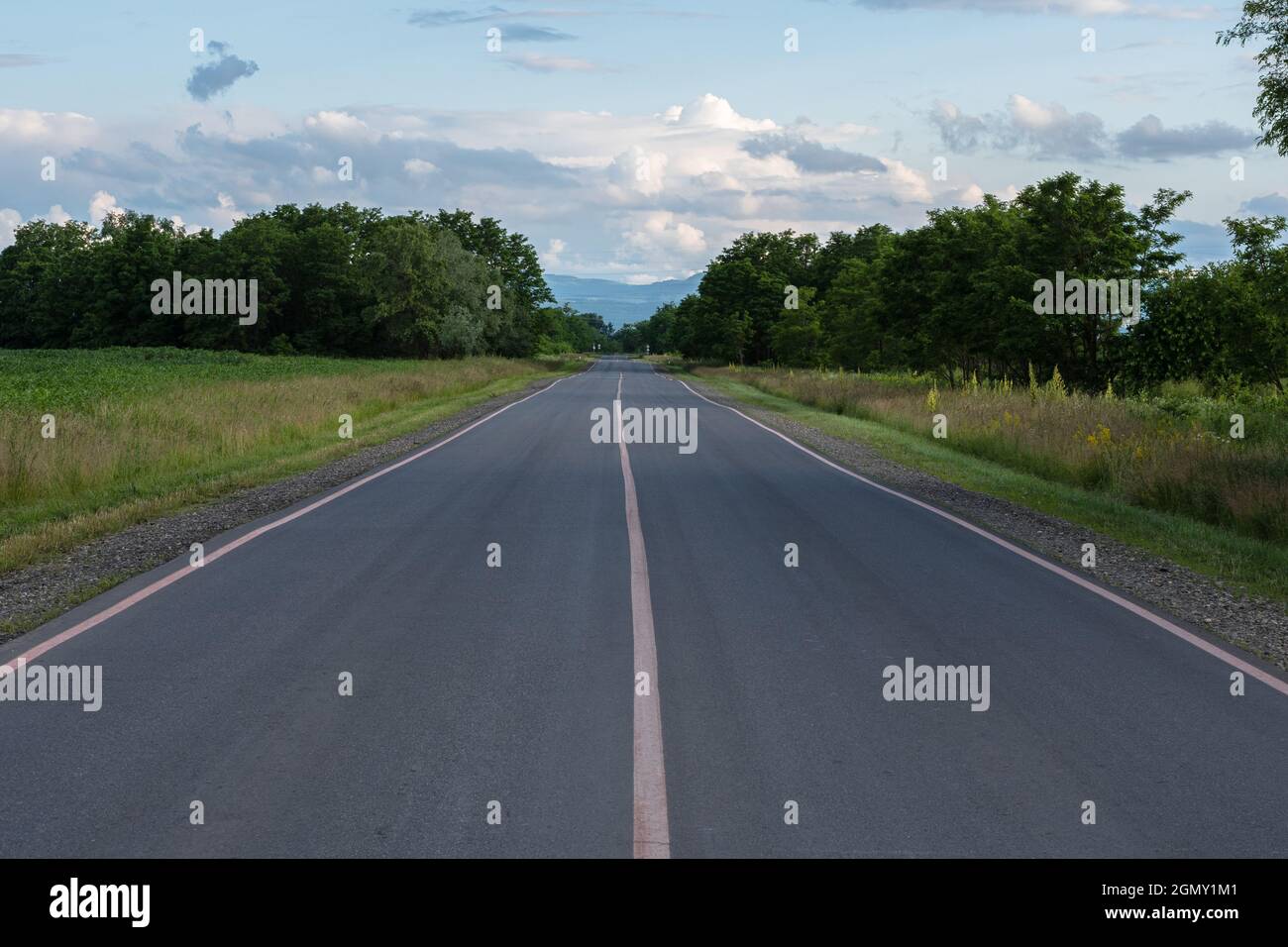 A suburban asphalt road with three solid lines of pink road markings ...