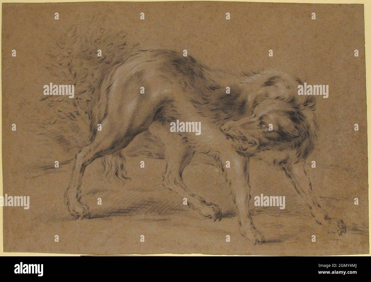 Angry Dog. Artist: Attributed to Jean-Baptiste Oudry (French, Paris ...