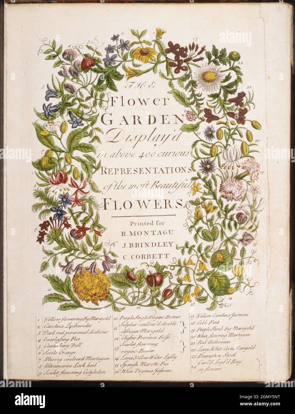 Beautiful flower illustration hi-res stock photography and images - Alamy