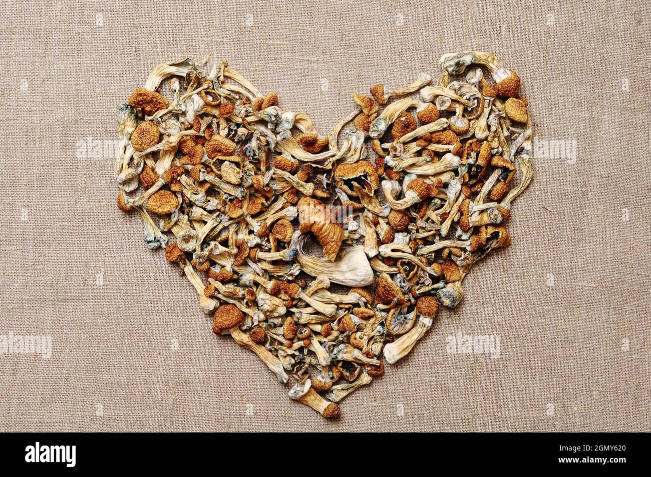 Heart-shaped dry psilocybin mushrooms on beige background. Psychedelic ...