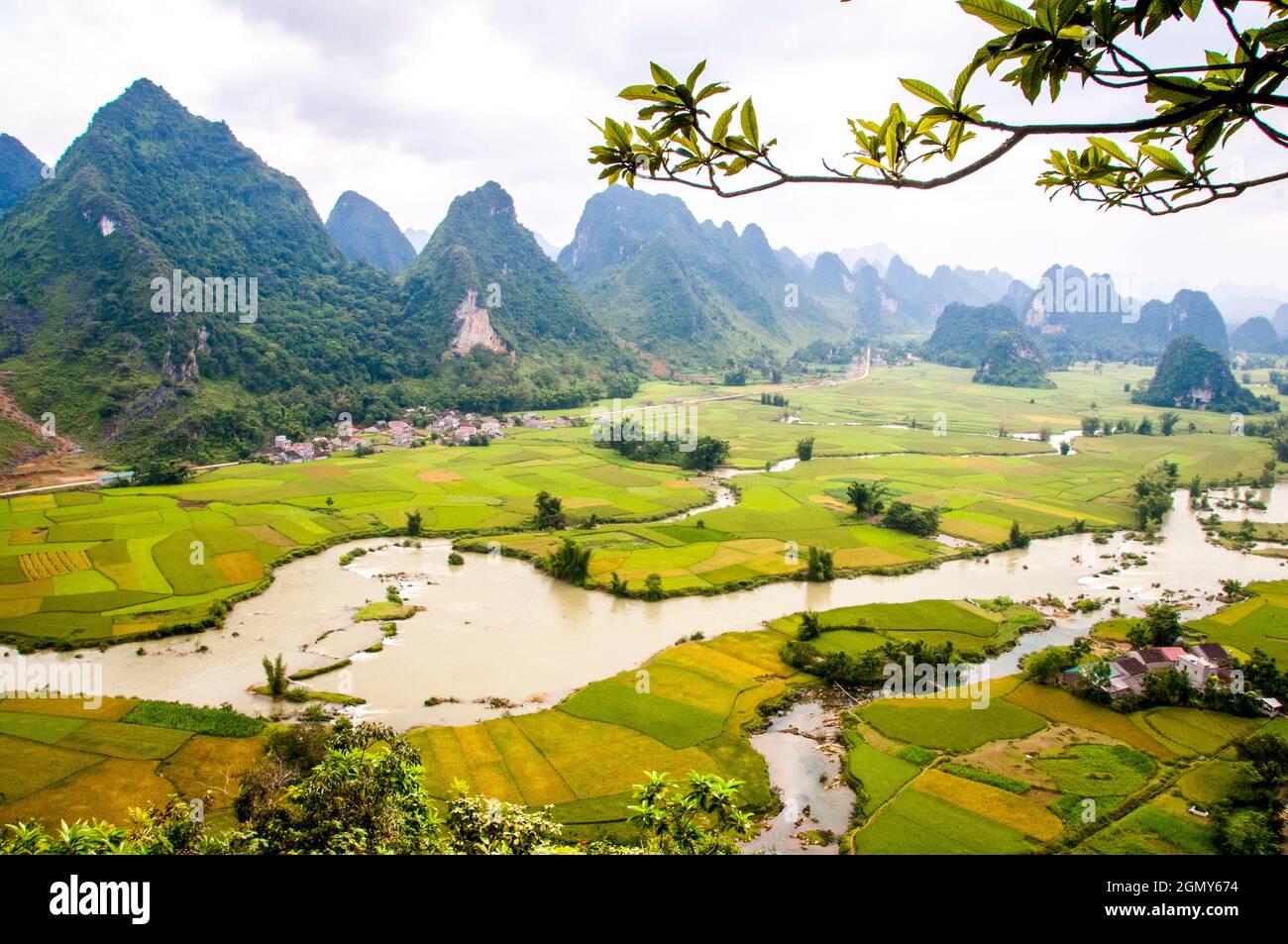 Phong Nam Valley With Rice Field In Cao Bang Province Northern Vietnam