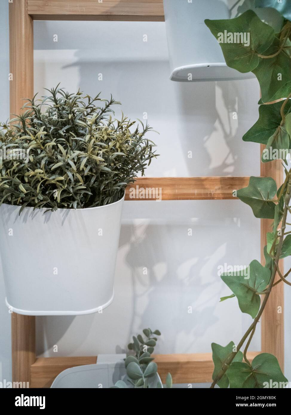 Vertical shot of plant pot, twig with leaves hanging on wooden ...