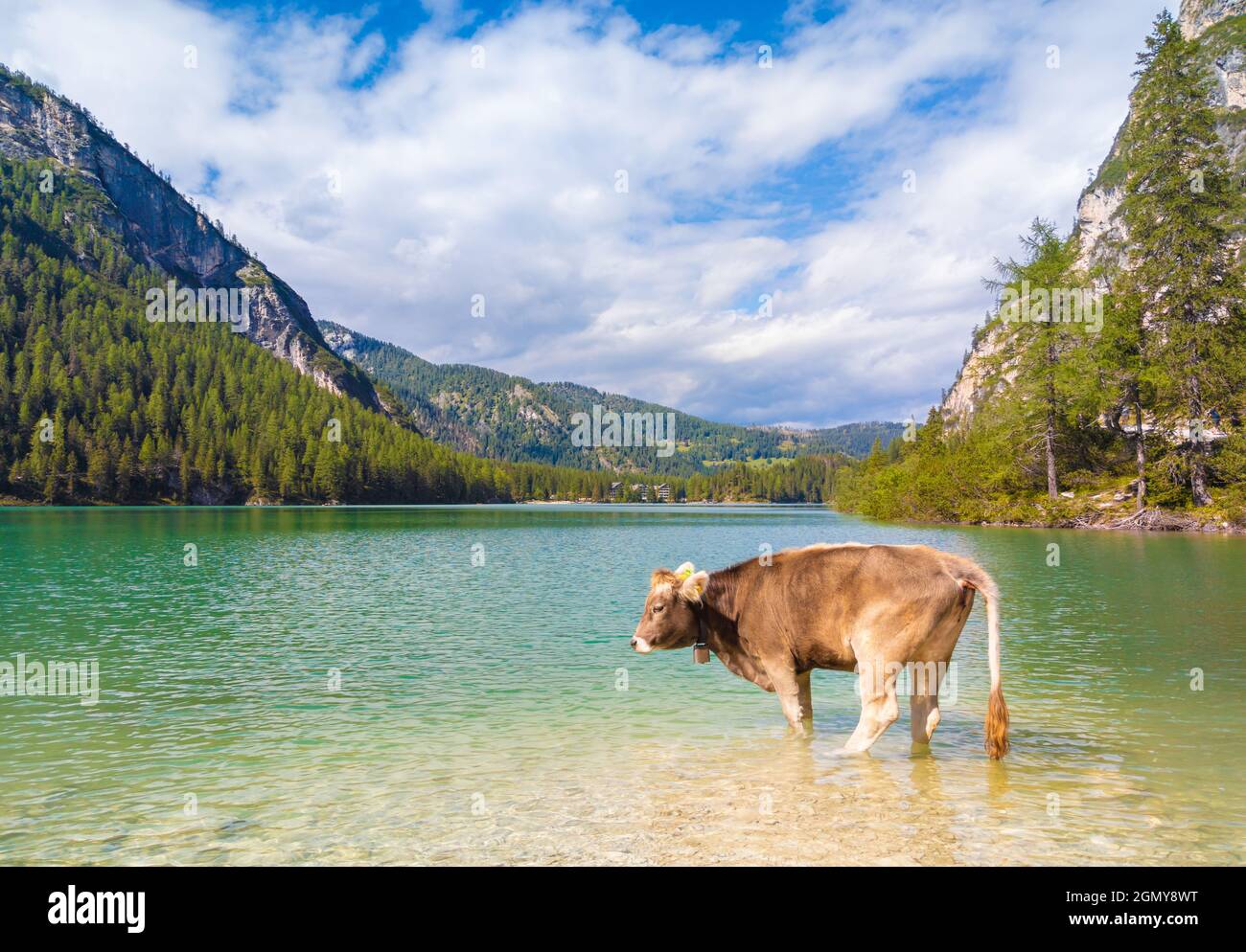 Dolomiti (Italy) - A view of the awesome Dolomites mountain range ...