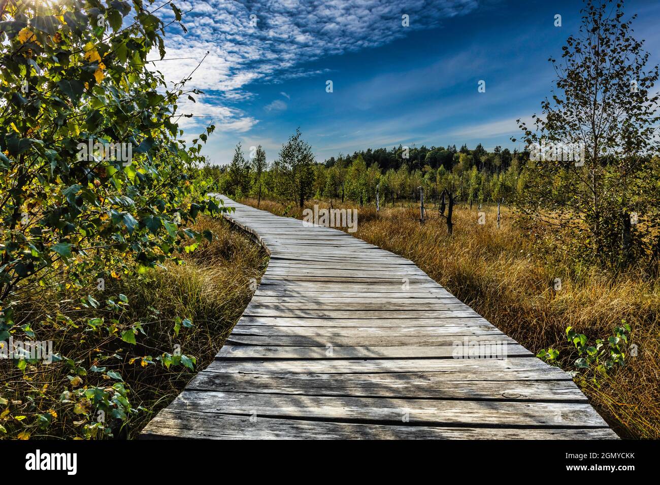 Hike through swamp hi-res stock photography and images - Alamy