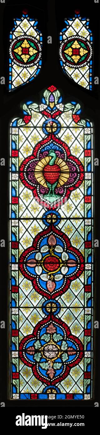 Stained Glass window, St Peter's Church, Dunton, Norfolk Stock Photo ...