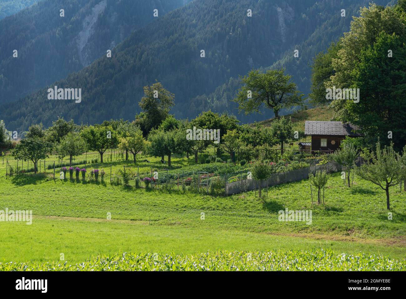 Landscape near Ernen village, Valais, Switzerland, Europe Stock Photo ...