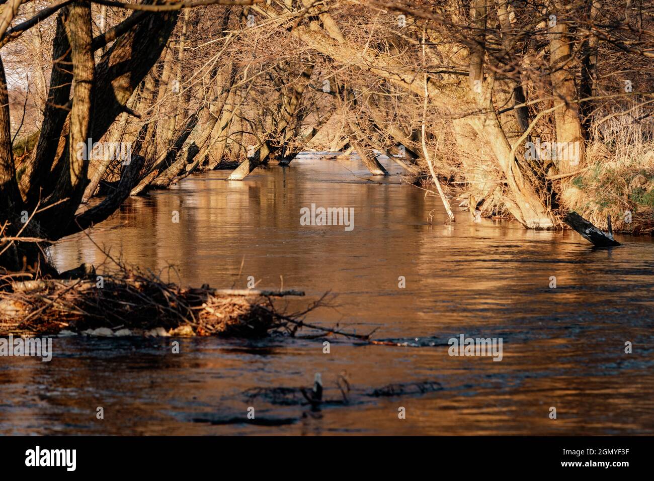 the river flows quietly in early spring Stock Photo - Alamy