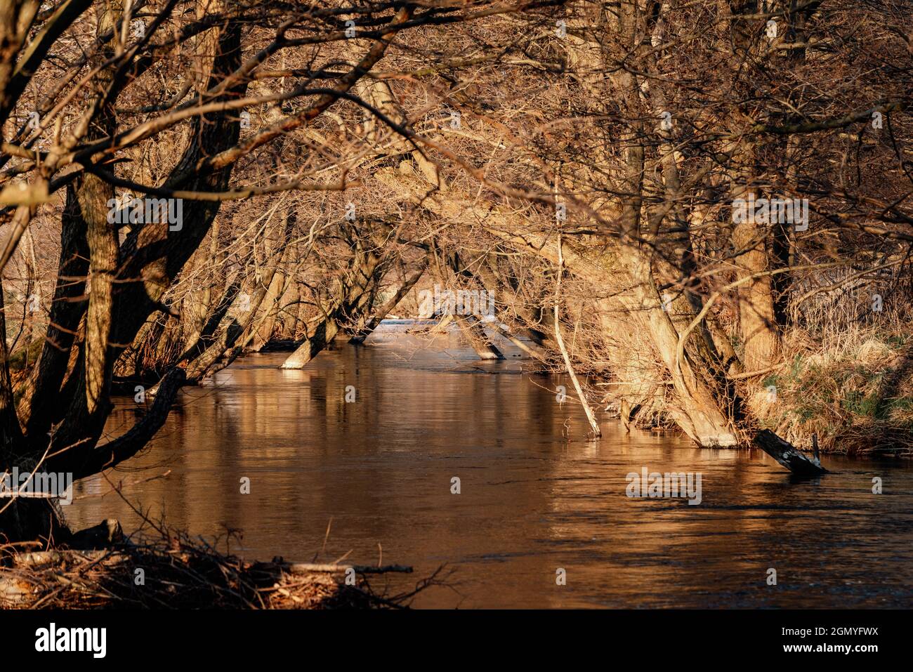 the river flows quietly in early spring Stock Photo - Alamy