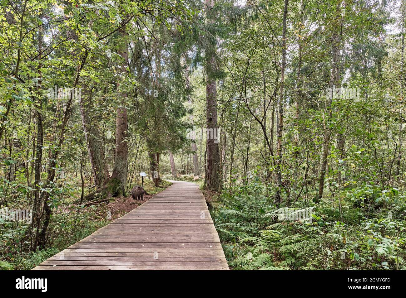 Ecological trail hi-res stock photography and images - Alamy