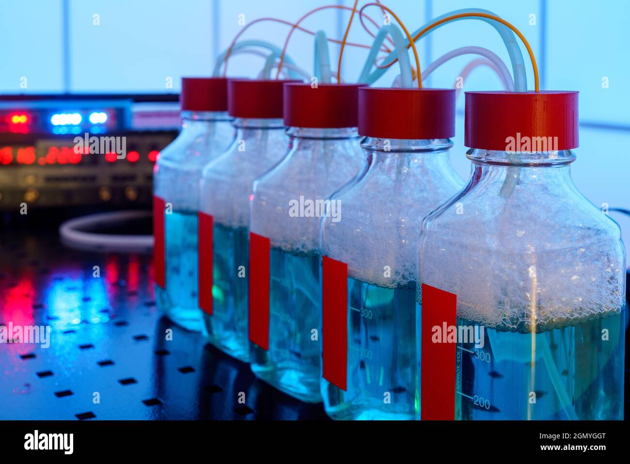 Biohydrogen production research produced by fermentation. Fermentation ...