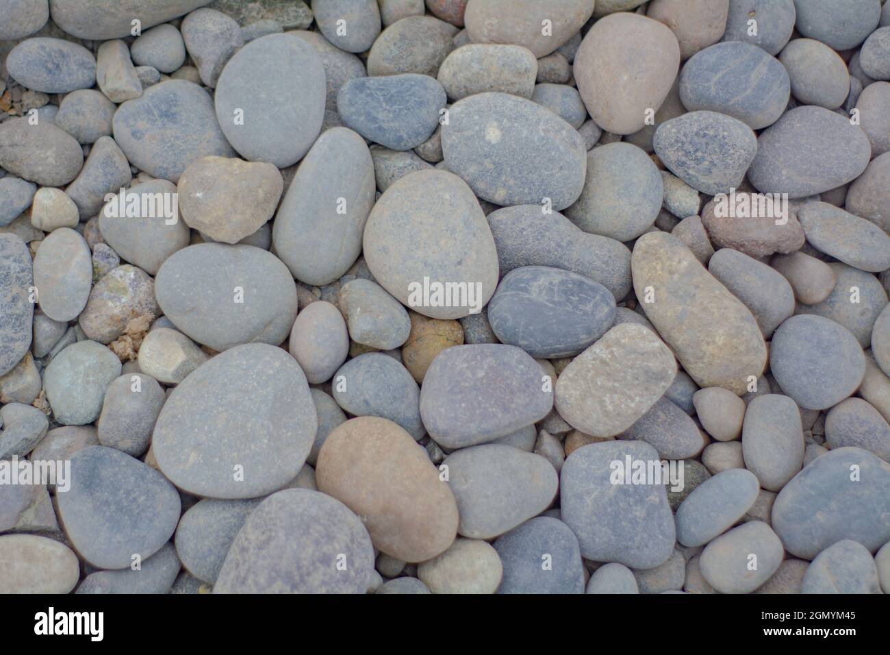 Closeup of the ground full of pebble stones Stock Photo - Alamy