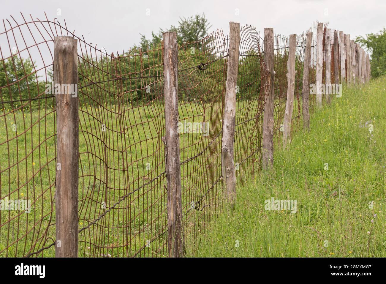 Wooden posts with rusty metal mesh on the background of green grass ...