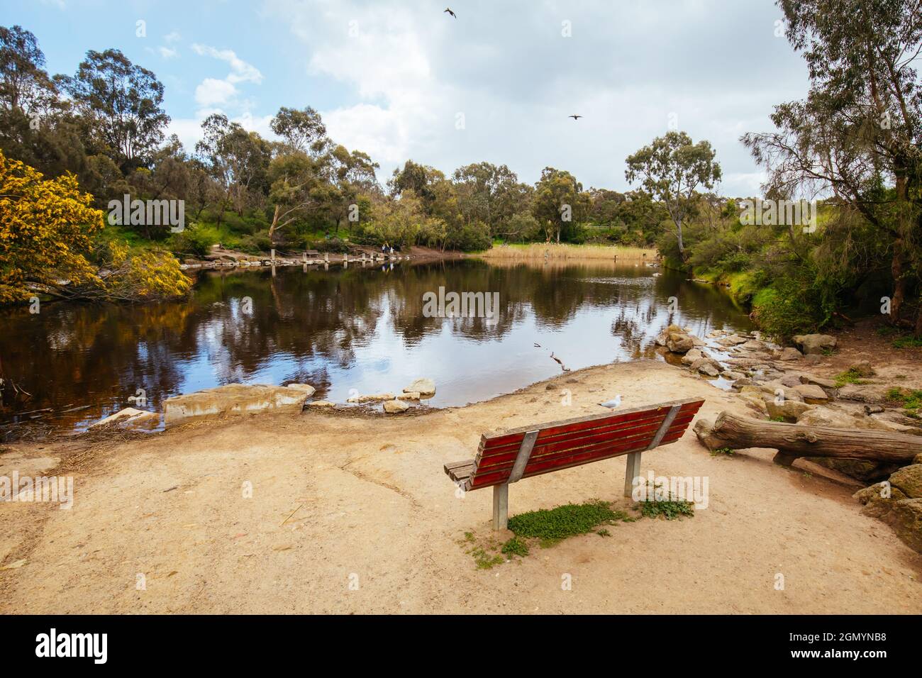 Darebin Parklands in Melbourne Australia Stock Photo - Alamy