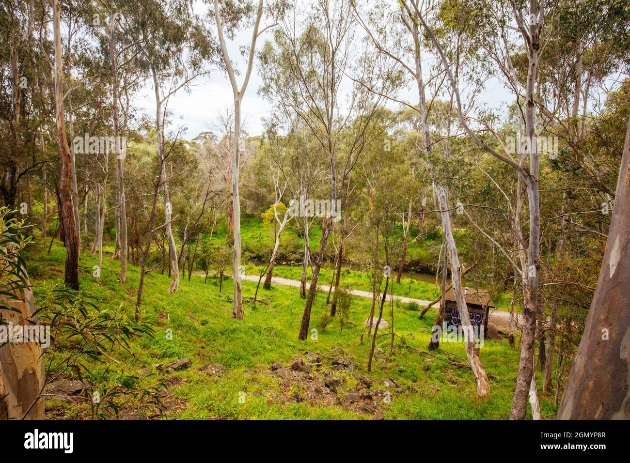 Darebin Parklands in Melbourne Australia Stock Photo - Alamy