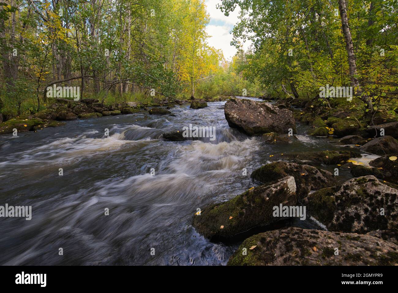 River in Muonio, Lapland, Finland Stock Photo - Alamy