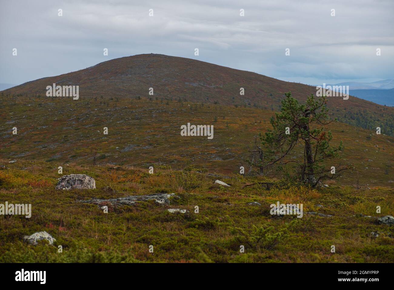 Keimiötunturi fell seen from Sammaltunturi fell Pallas-Yllästunturi ...
