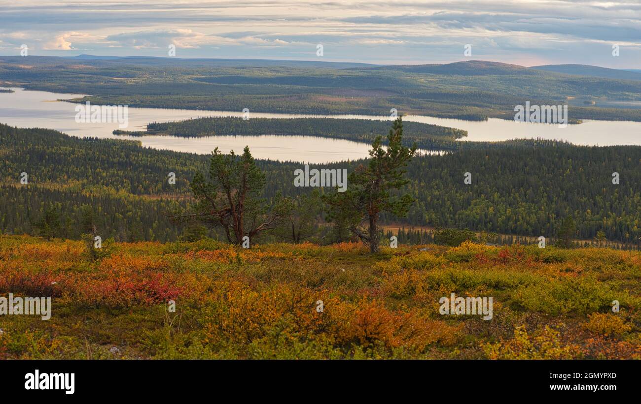 Autumn scene on Sammaltunturi in Pallas-Yllästunturi National Park ...