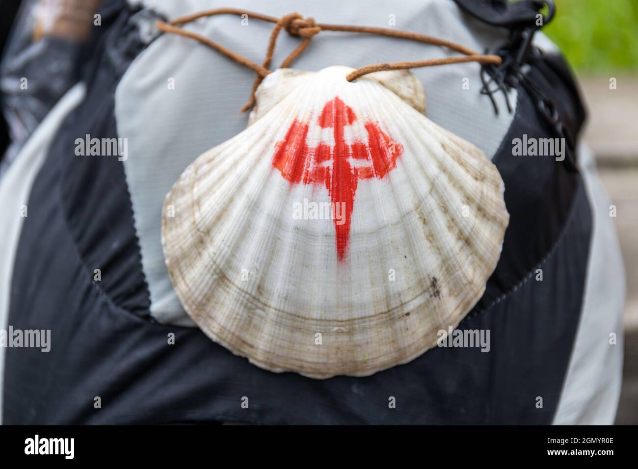 pilgrim's scallop shell on a backpack, traditional emblem of St James ...