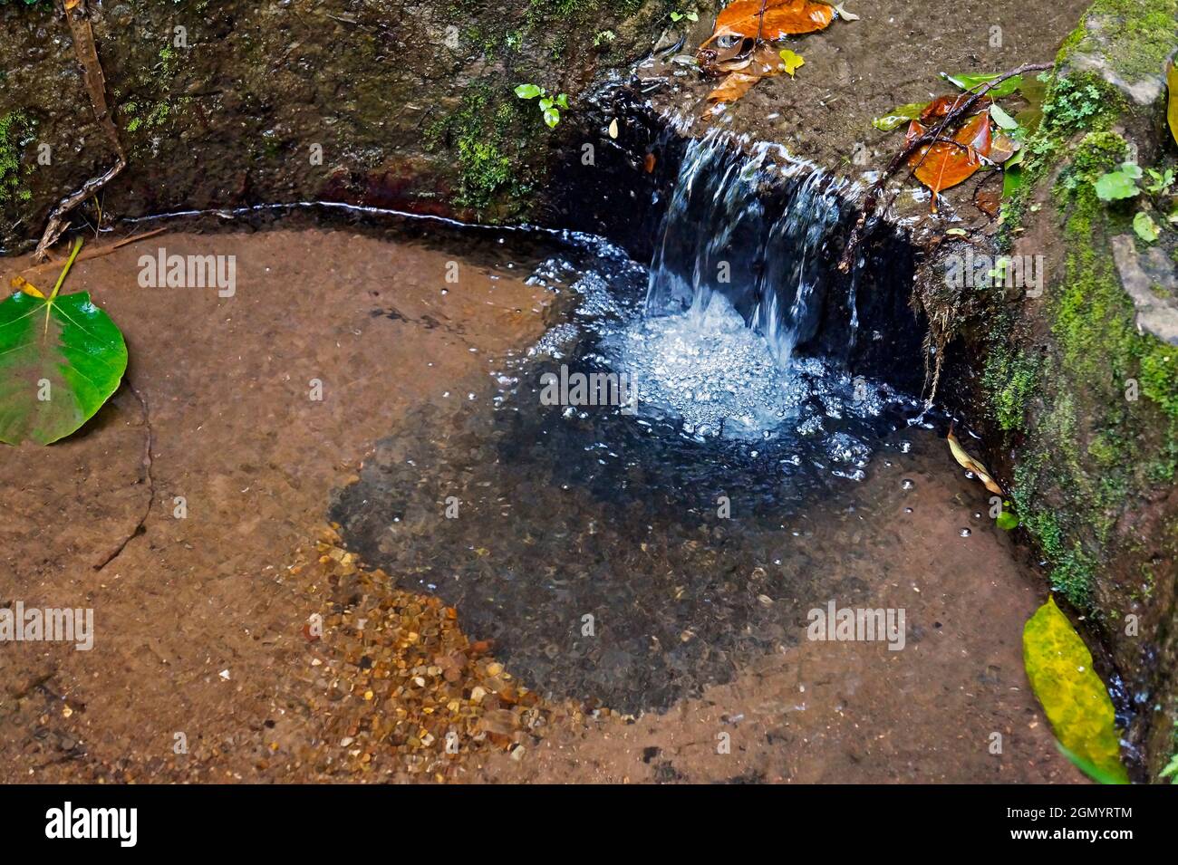 Small waterfall on tropical rainforest, Rio Stock Photo - Alamy
