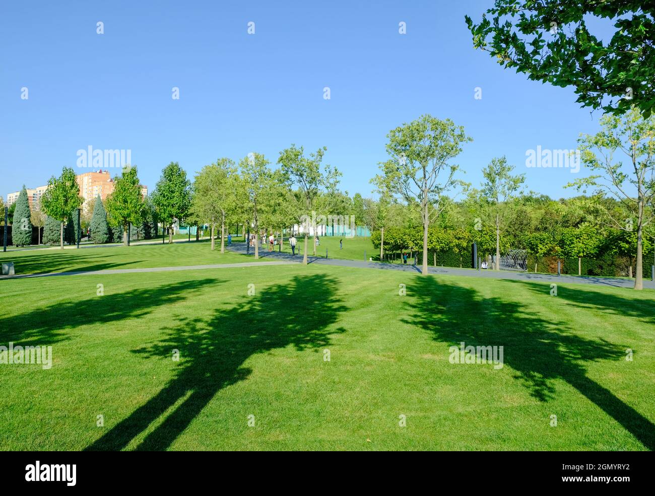 A beautiful landscape of the park and a recreation area in the city, a ...