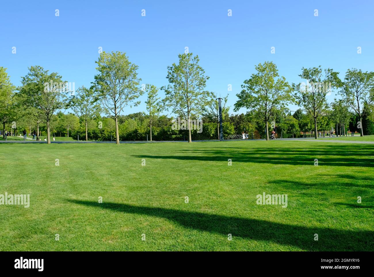 A beautiful landscape of the park and a recreation area in the city, a ...