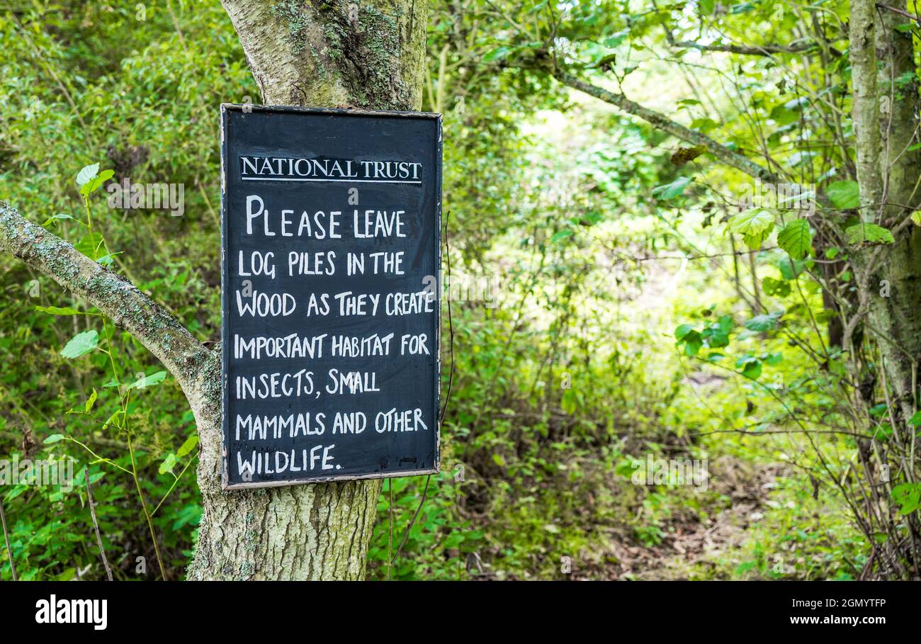 National trust sign " Please leave log piles" written on a chalk board ...