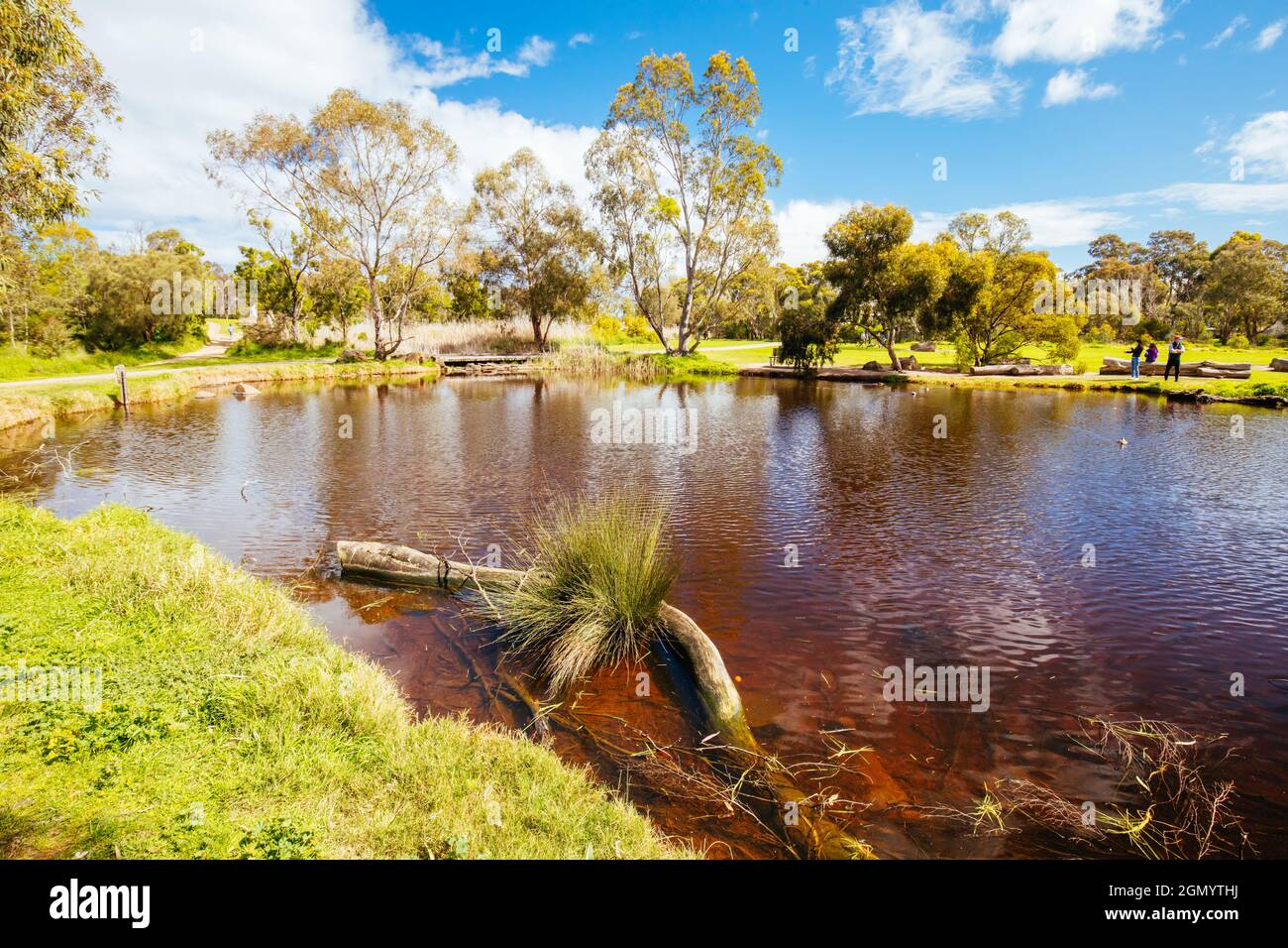 Darebin Parklands in Melbourne Australia Stock Photo - Alamy