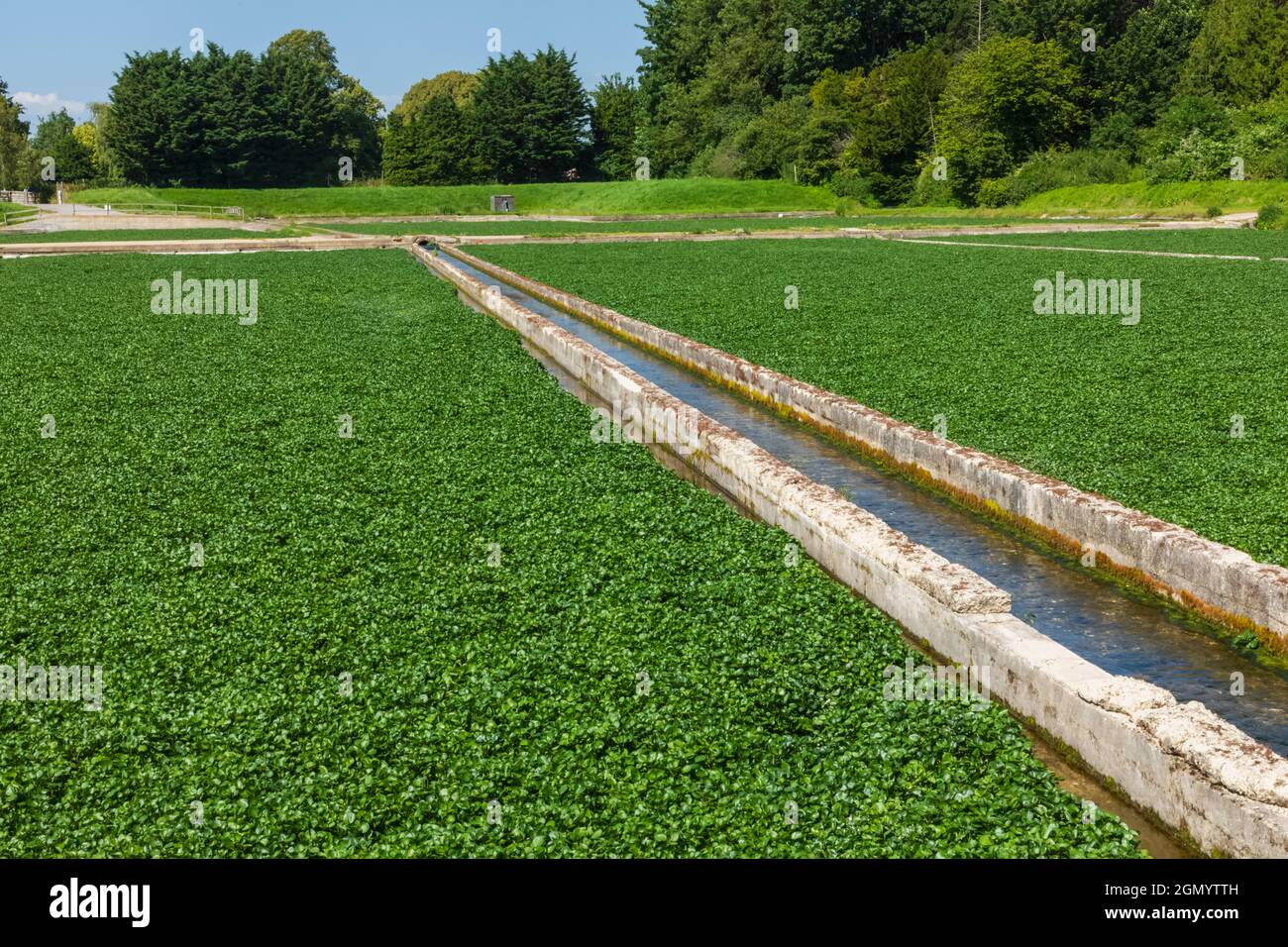 Old alresford hi-res stock photography and images - Alamy