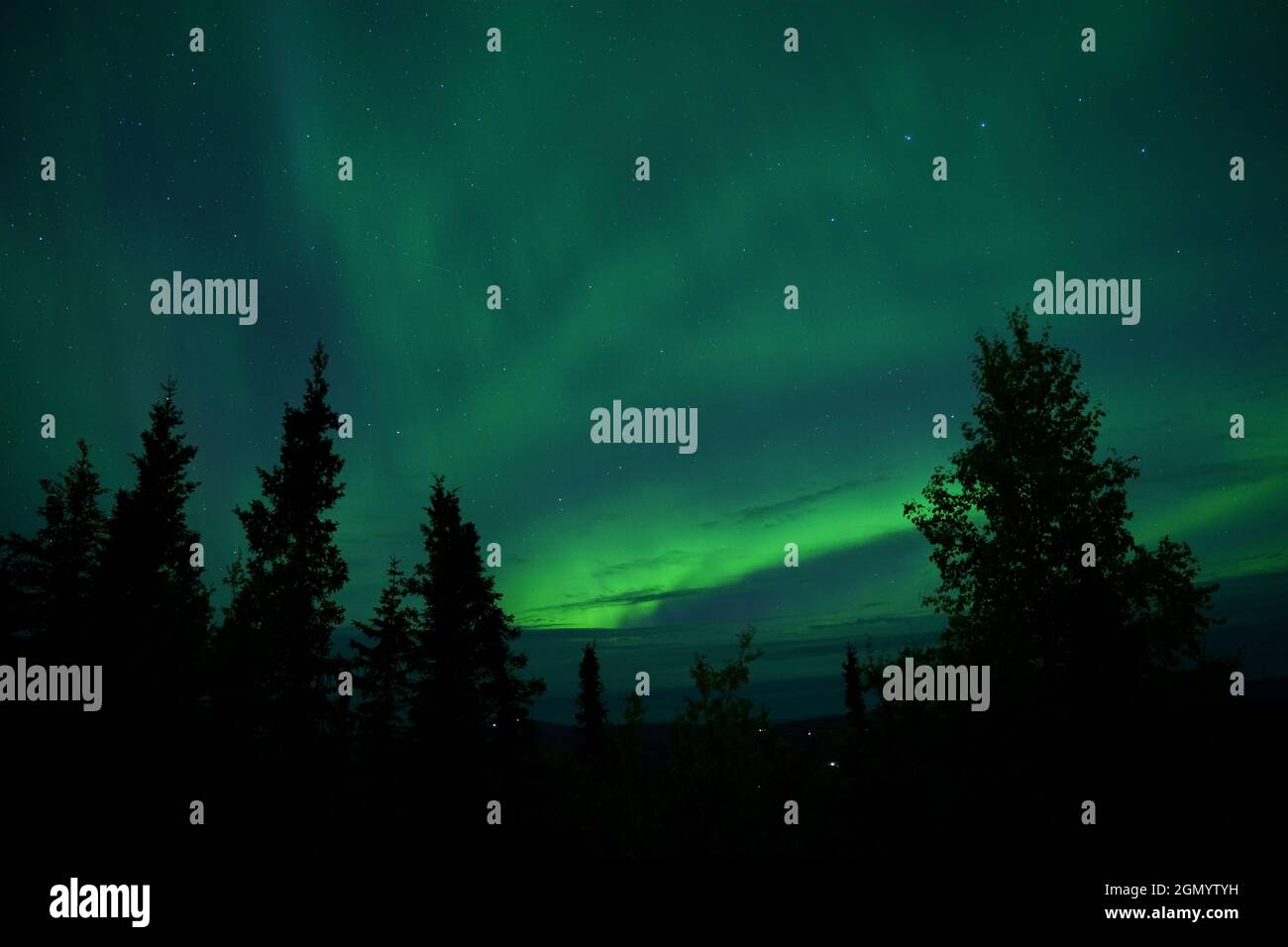Natural light display of aurora with dynamic patterns Stock Photo - Alamy
