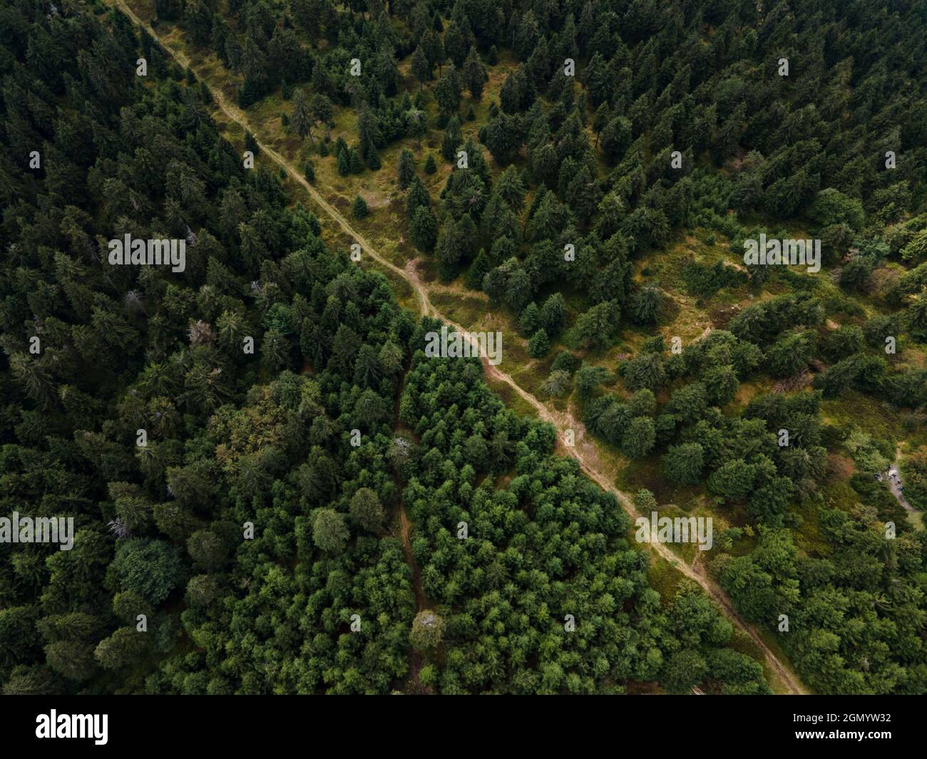 Aerial view of green dense forests Stock Photo - Alamy