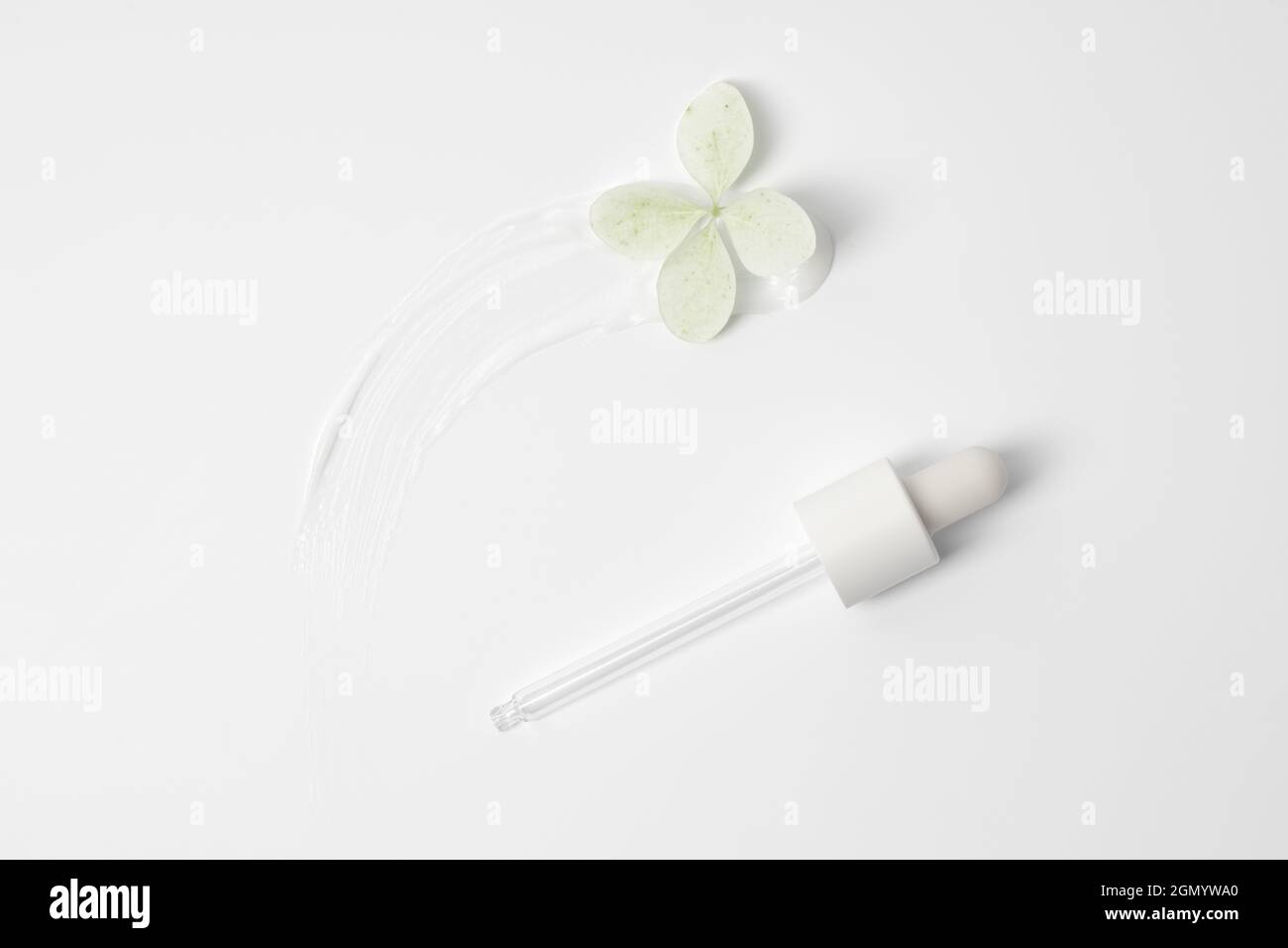 White cosmetic cream swipe isolated on white background with Hortensia ...
