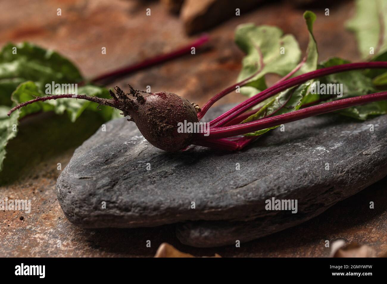 Baby beetroot harvest hi-res stock photography and images - Alamy