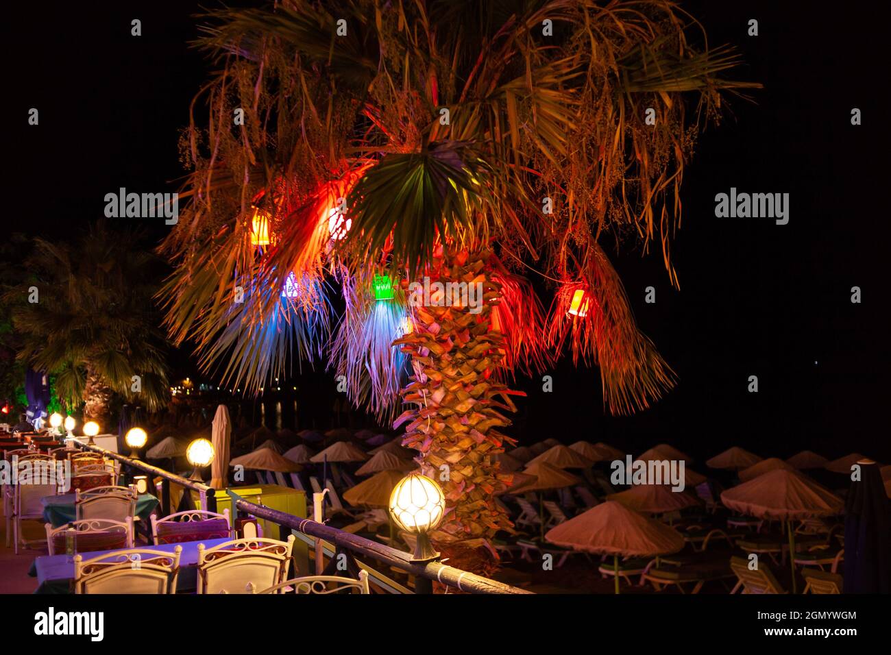 Christmas tree with palm trees on the beach hi-res stock photography ...