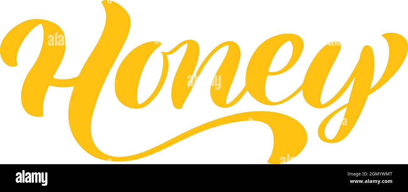 Honey calligraphy lettering text. Vector bee hand lettering word in ...